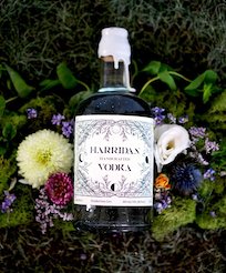 UrbanDaddy | Food, Nightlife, Culture, Style and Travel